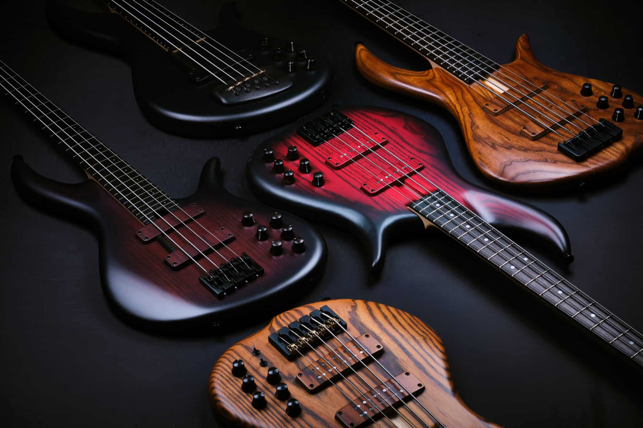 F Bass | Bass Buddha