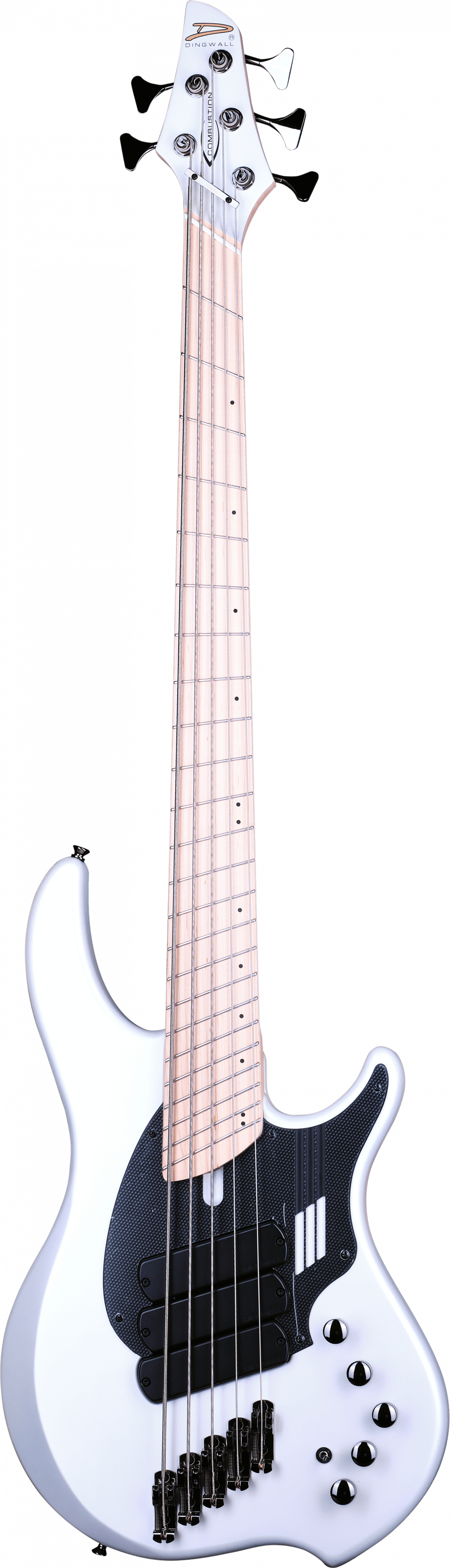 Dingwall | Bass Buddha