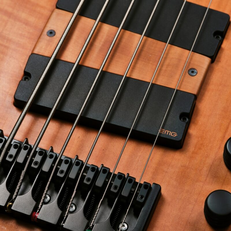 Mattisson series II 6-string, fatboy | Bass Buddha