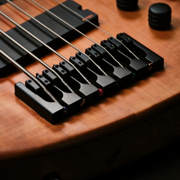 Mattisson series II 6-string, fatboy | Bass Buddha