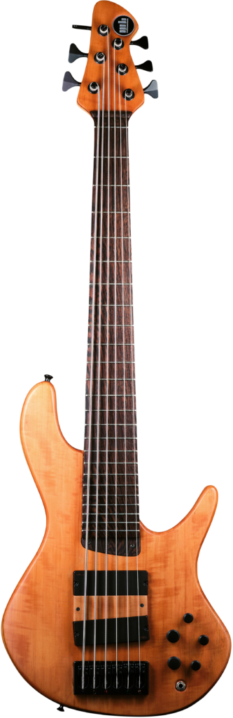 Mattisson series II 6-string, fatboy | Bass Buddha