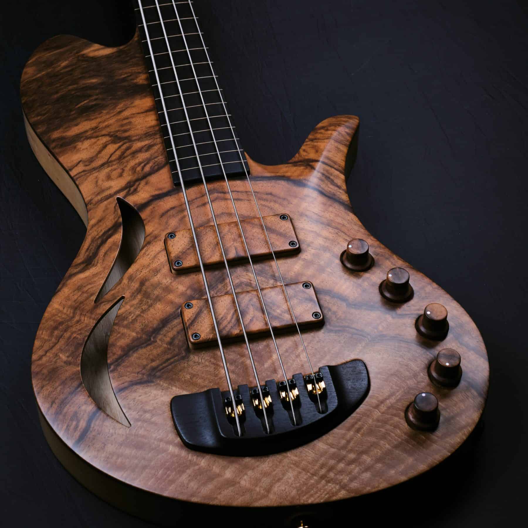 Overwater Hollowbody Thinline 4 Fretless | Bass Buddha