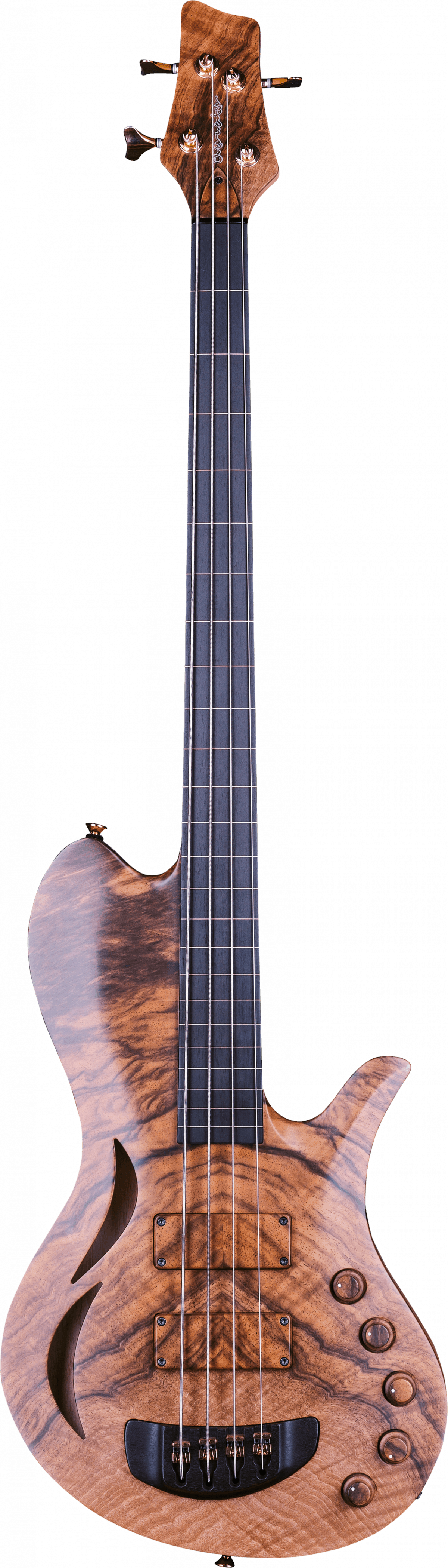 Basses | Bass Buddha