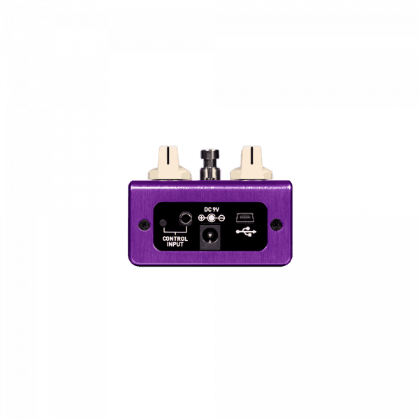 Source Audio Spectrum Intelligent Filter | Bass Buddha