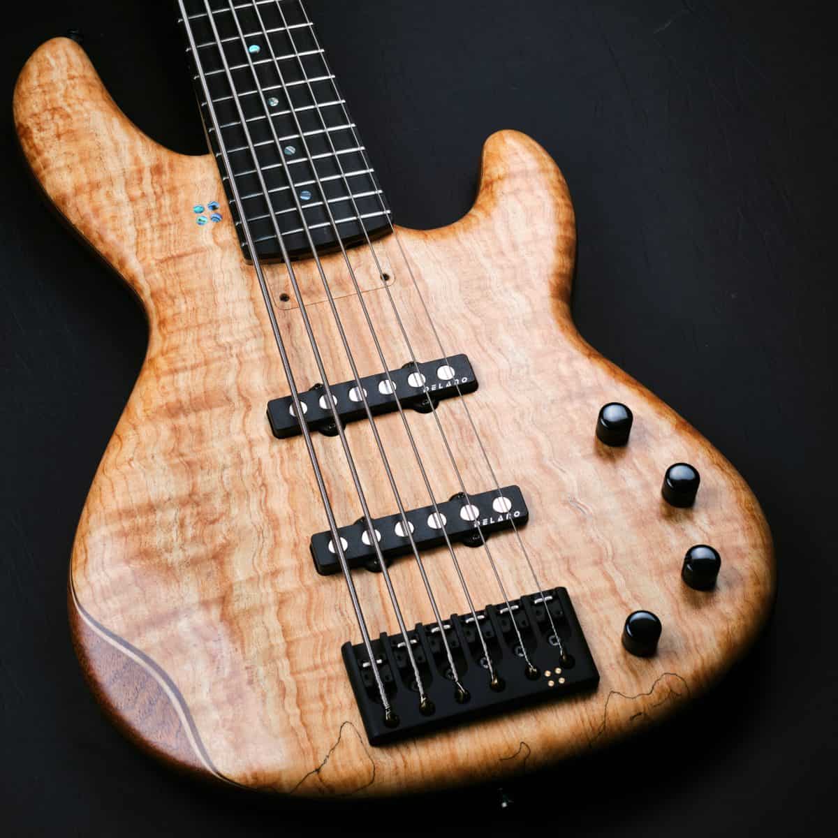 Sandberg Panther TT6 Spalted Maple | Bass Buddha