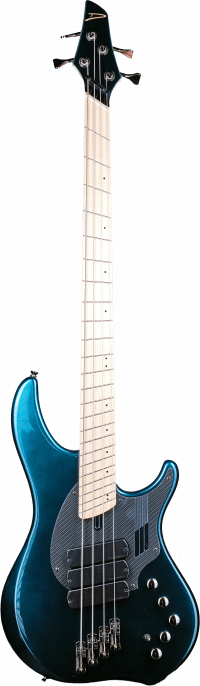 Dingwall | Bass Buddha