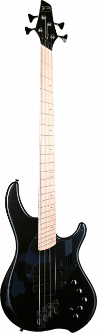 Dingwall | Bass Buddha