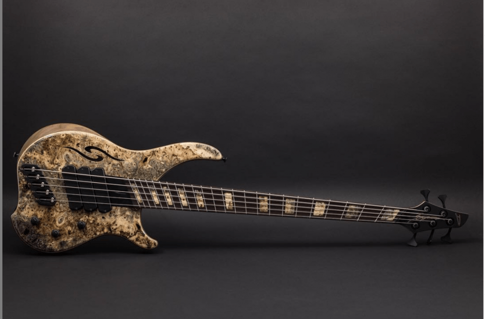 Dingwall Afterburner II Buckeye Burl Top | Bass Buddha
