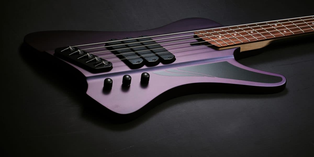 Dingwall D-Roc 5 Standard Matte Blue to Purple Colorshift | Bass Buddha
