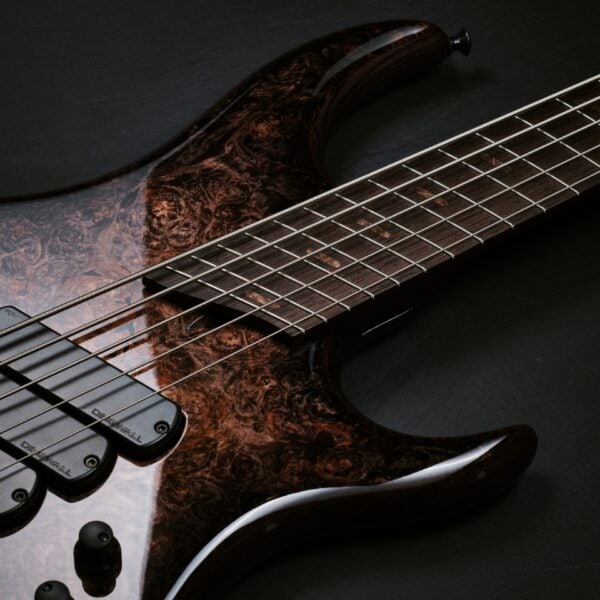 Dingwall Z3 Arbutus Burl | Bass Buddha