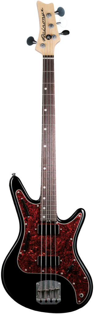 Basses | Bass Buddha