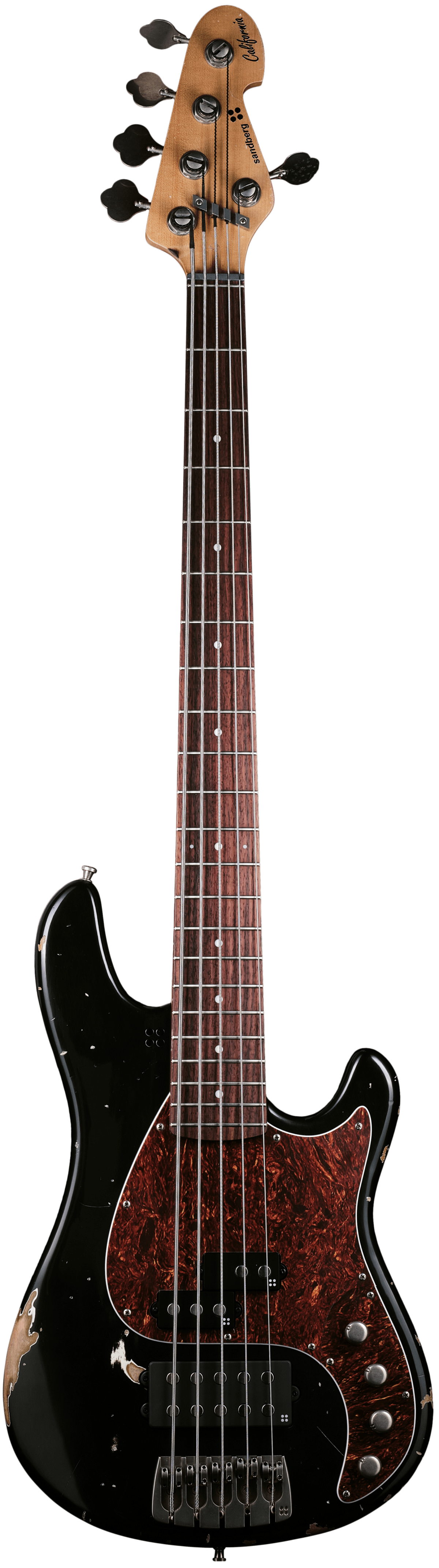 Sandberg Basses | Bass Buddha