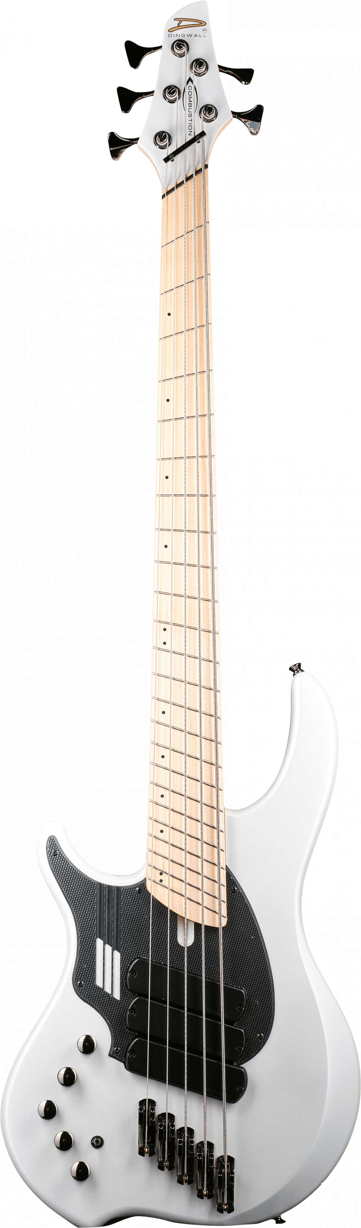 Dingwall | Bass Buddha