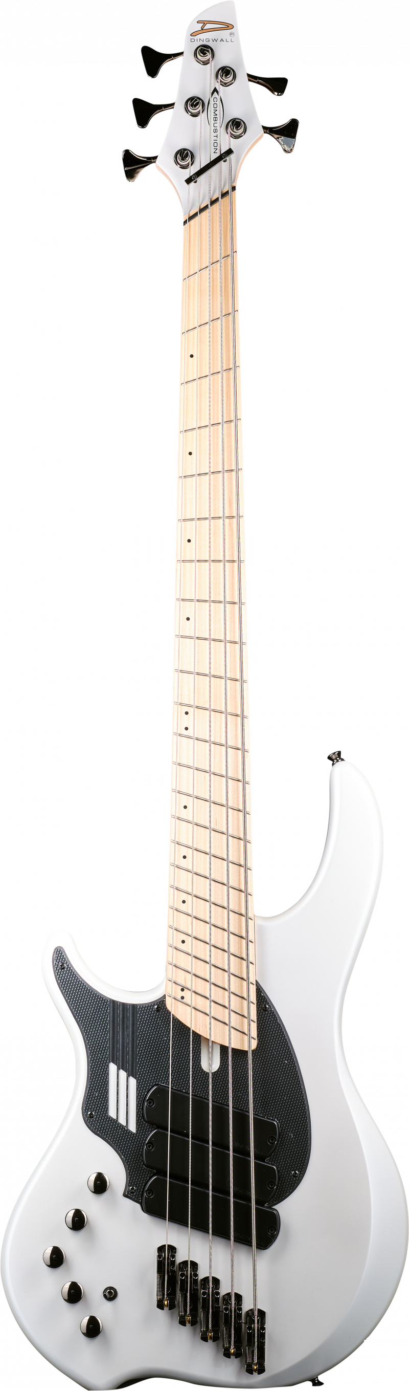 Dingwall | Bass Buddha