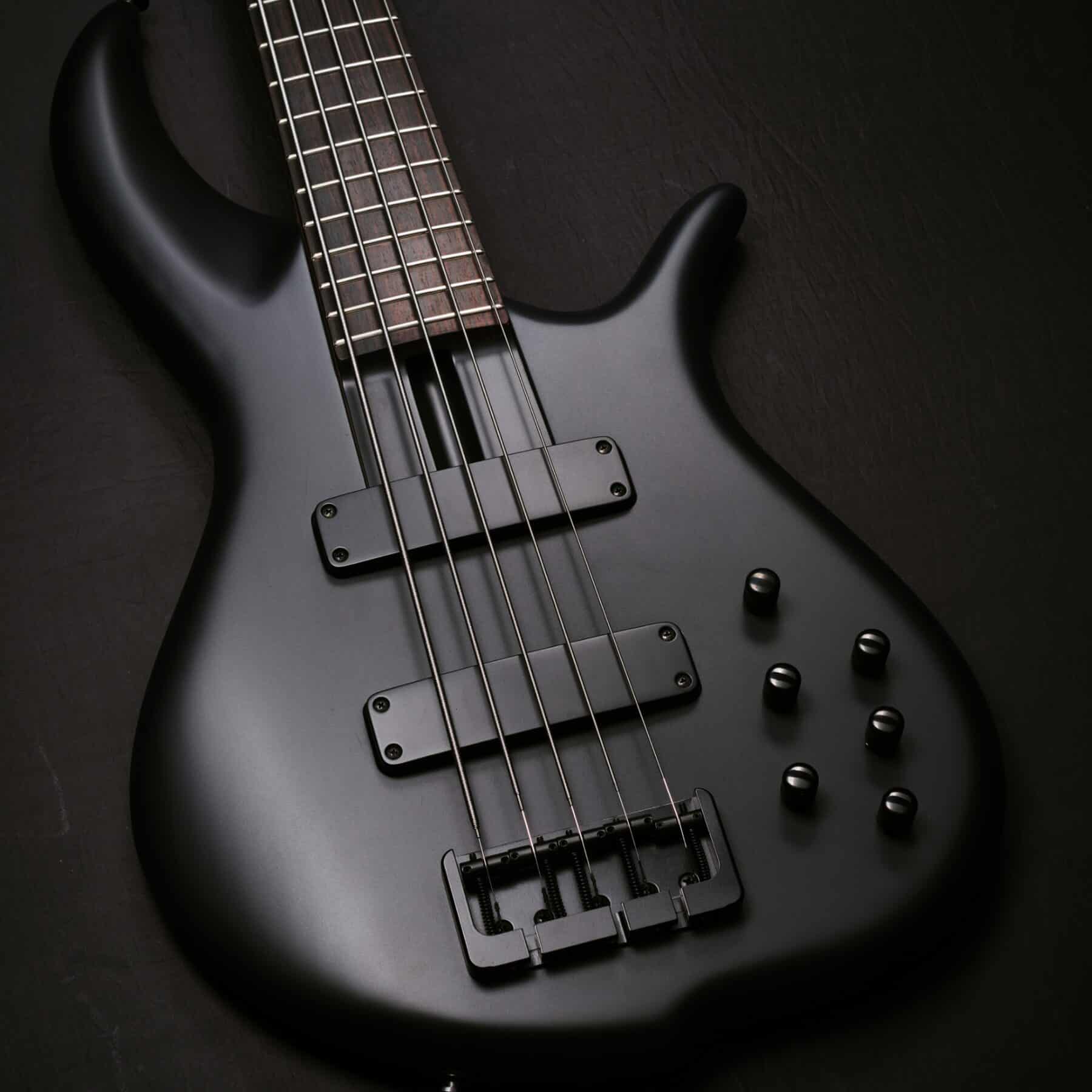 F Bass BN5 Matte Black | Bass Buddha