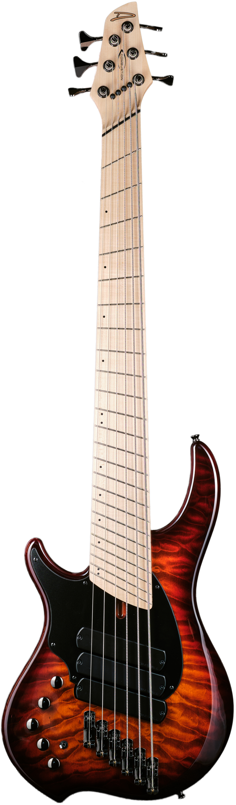 Dingwall | Bass Buddha