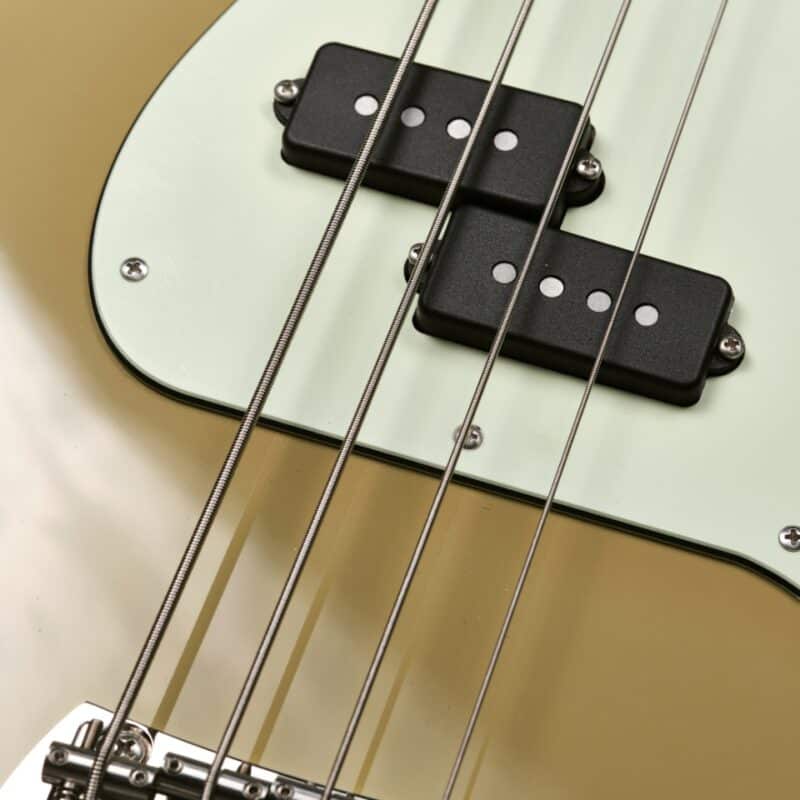 Vincent Akkurat P4 Serengeti | Bass Buddha
