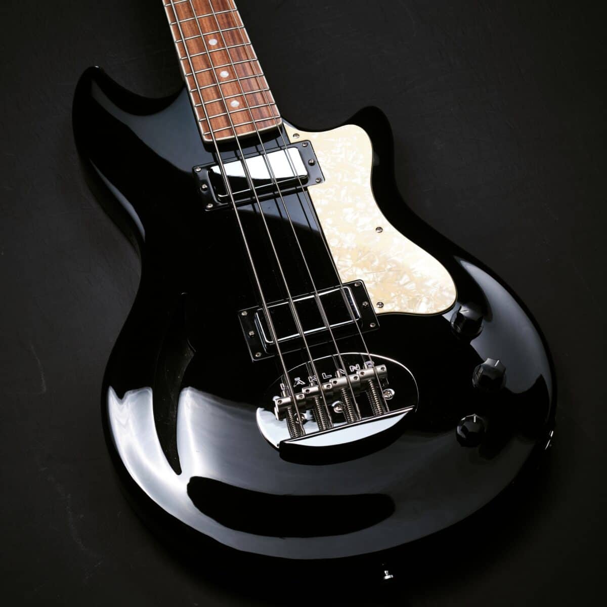 Lakland Skyline Hollowbody 30 Black | Bass Buddha