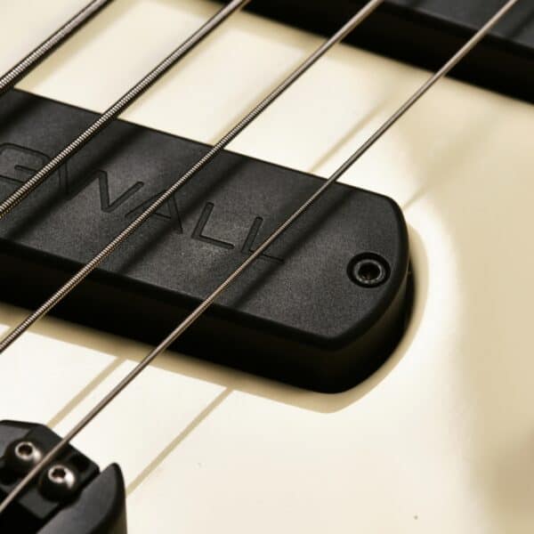 Pre-Owned Dingwall Afterburner II Creme | Bass Buddha