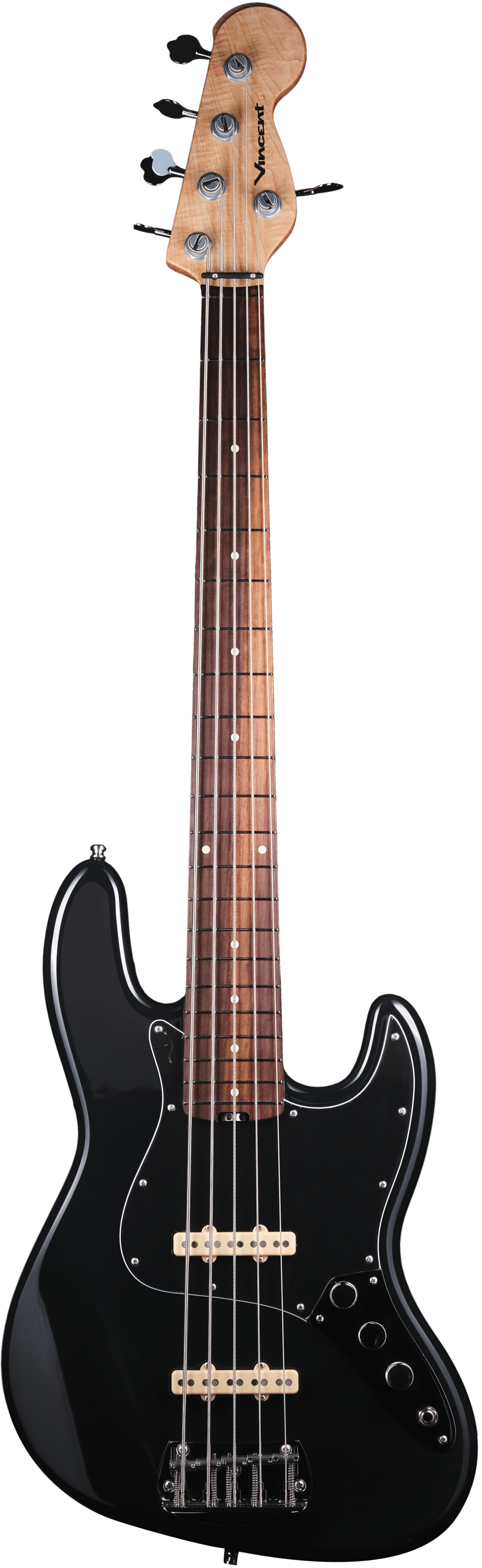 Vincent Basses | Bass Buddha