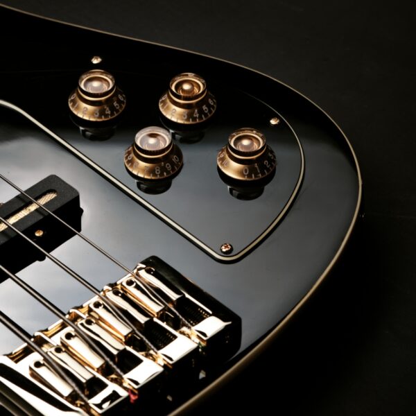 Baum Guitars Nidhogg Pure Black | Bass Buddha