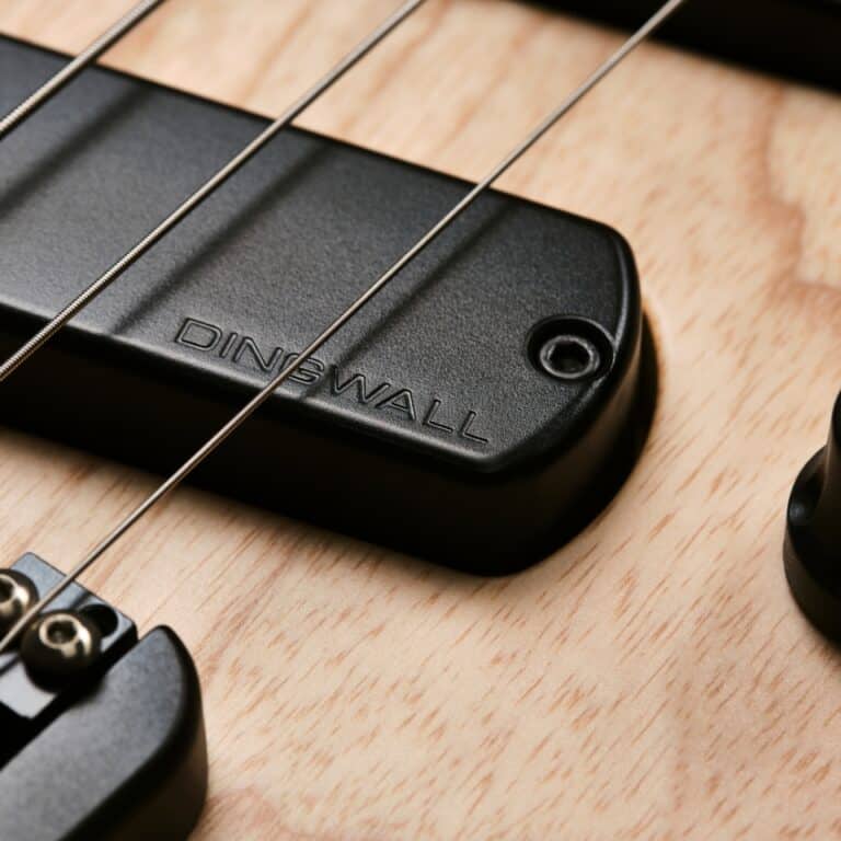 Dingwall ABZ 6-string | Bass Buddha