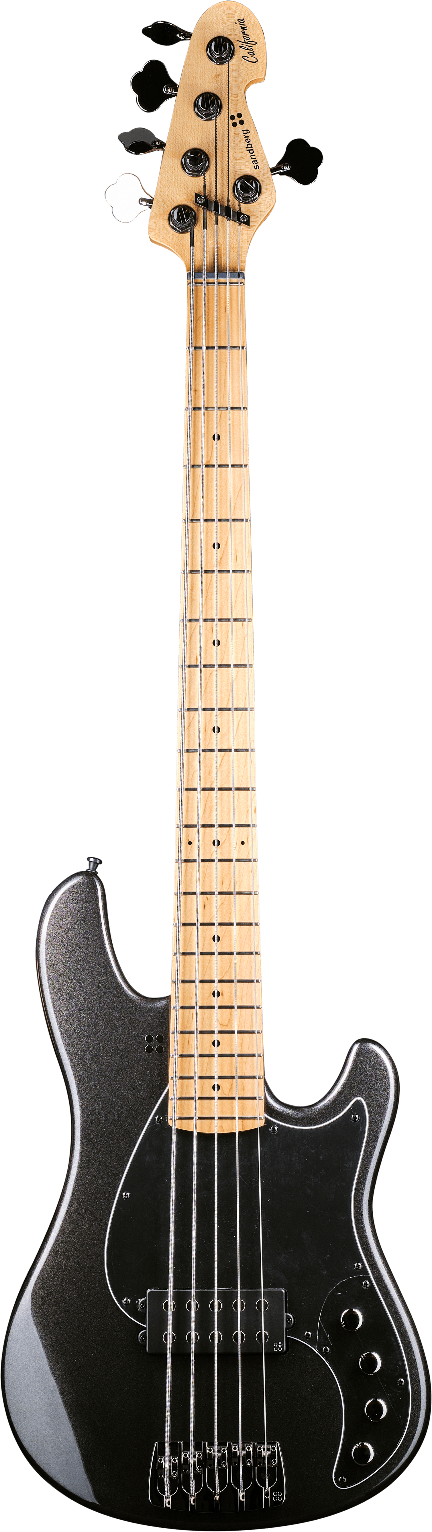 Sandberg VC5 Anthracite Gray | Bass Buddha