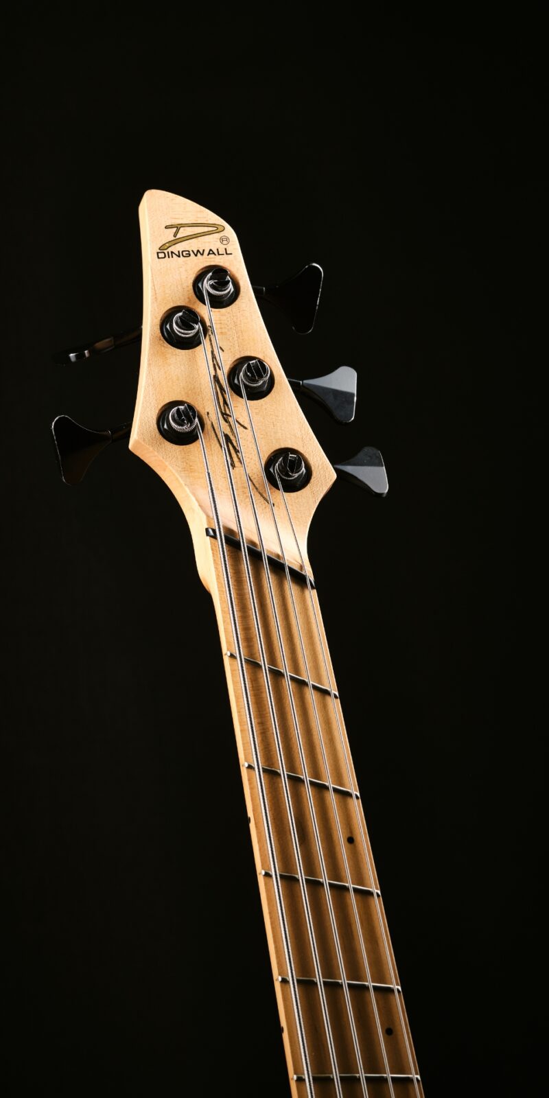 Preowned Dingwall ABZ 5-string | Bass Buddha