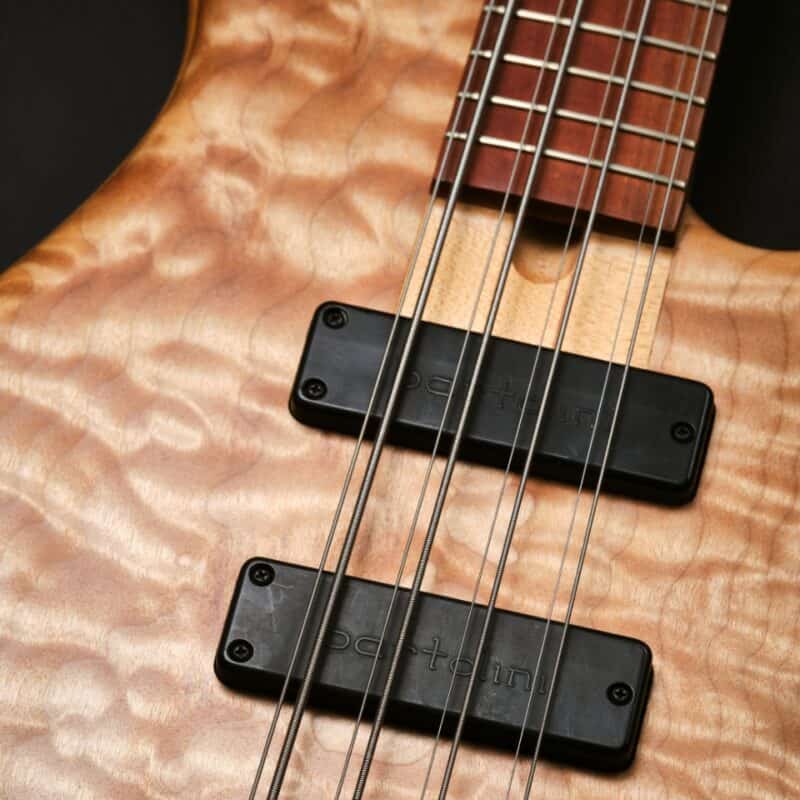 Pre-owned Elrick Evo Custom 8-String | Bass Buddha