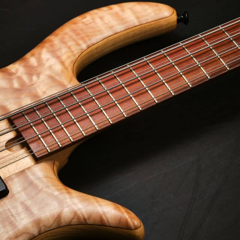 Pre-owned Elrick Evo Custom 8-String | Bass Buddha