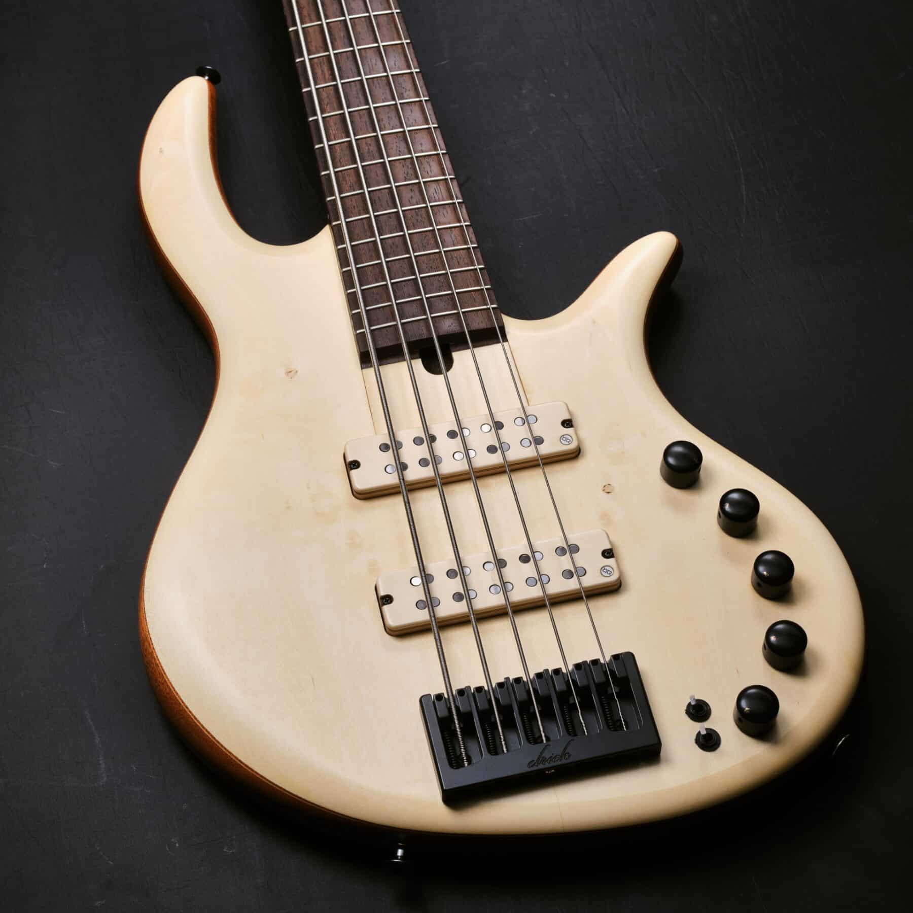 Elrick Gold Series E-Volution Bolt On 5 (2019) | Bass Buddha