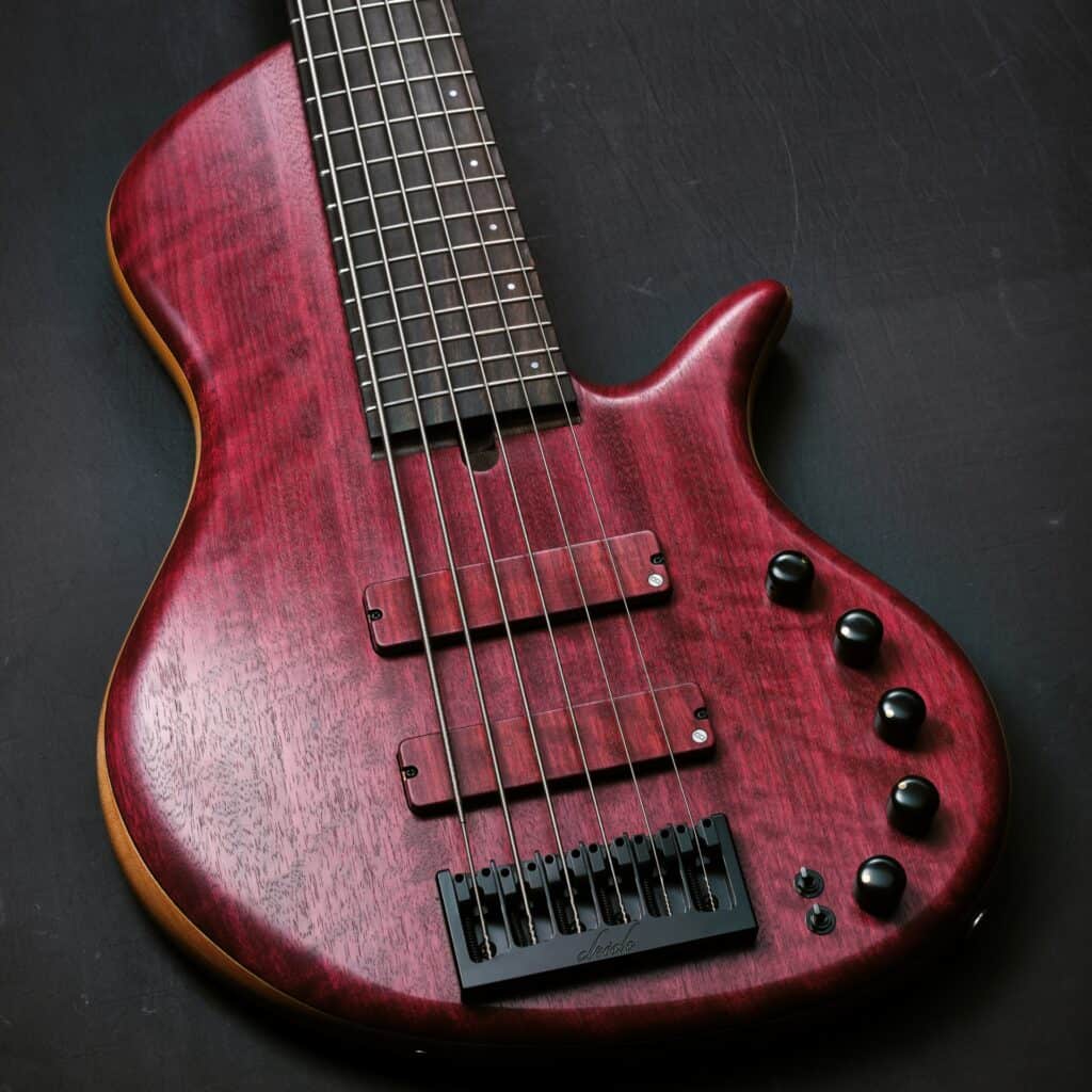 Preowned Elrick eVo Platinum Series 6 (2022) | Bass Buddha
