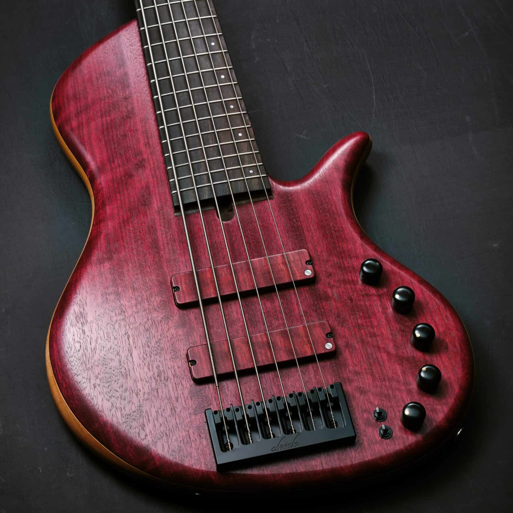 Preowned Elrick eVo Platinum Series 6 (2022) | Bass Buddha