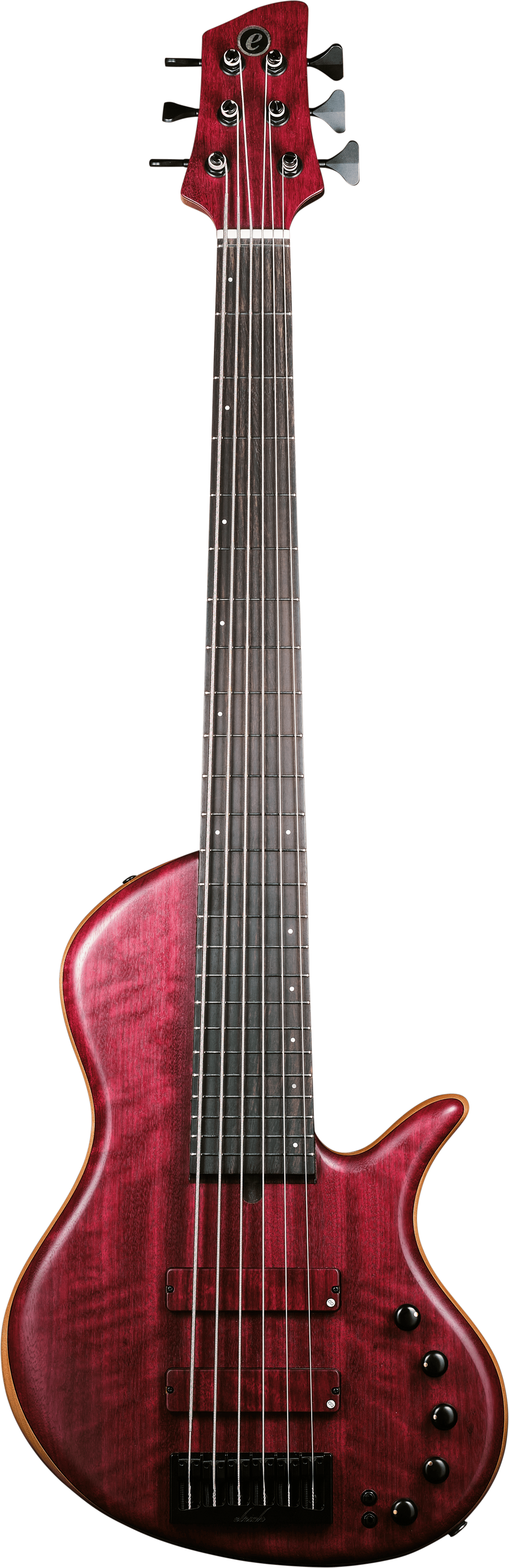 Preowned Elrick eVo Platinum Series 6 (2022) | Bass Buddha