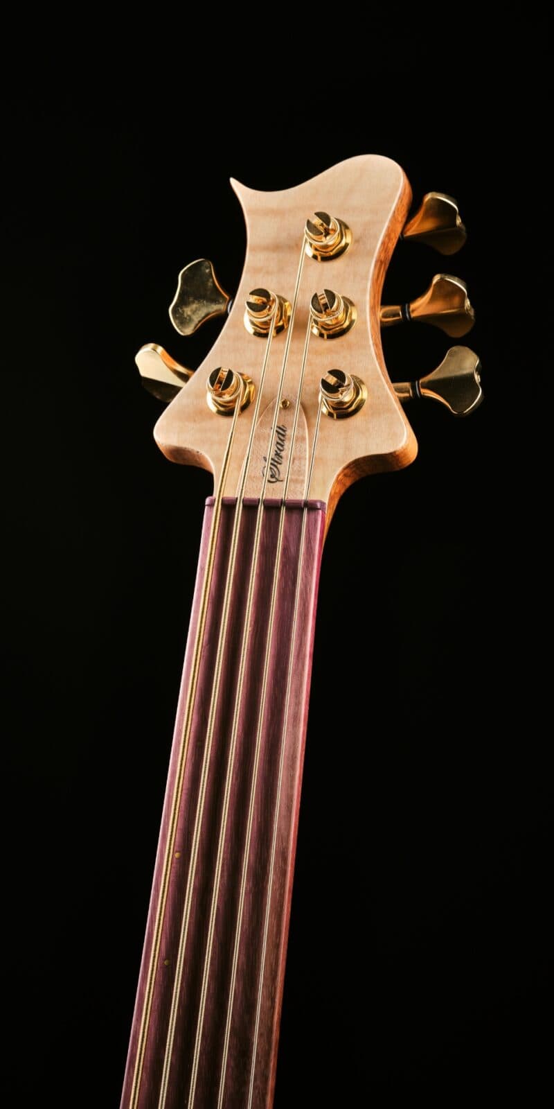 Stradi Symphony 5 | Bass Buddha