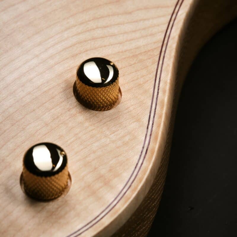 Stradi Symphony 5 | Bass Buddha