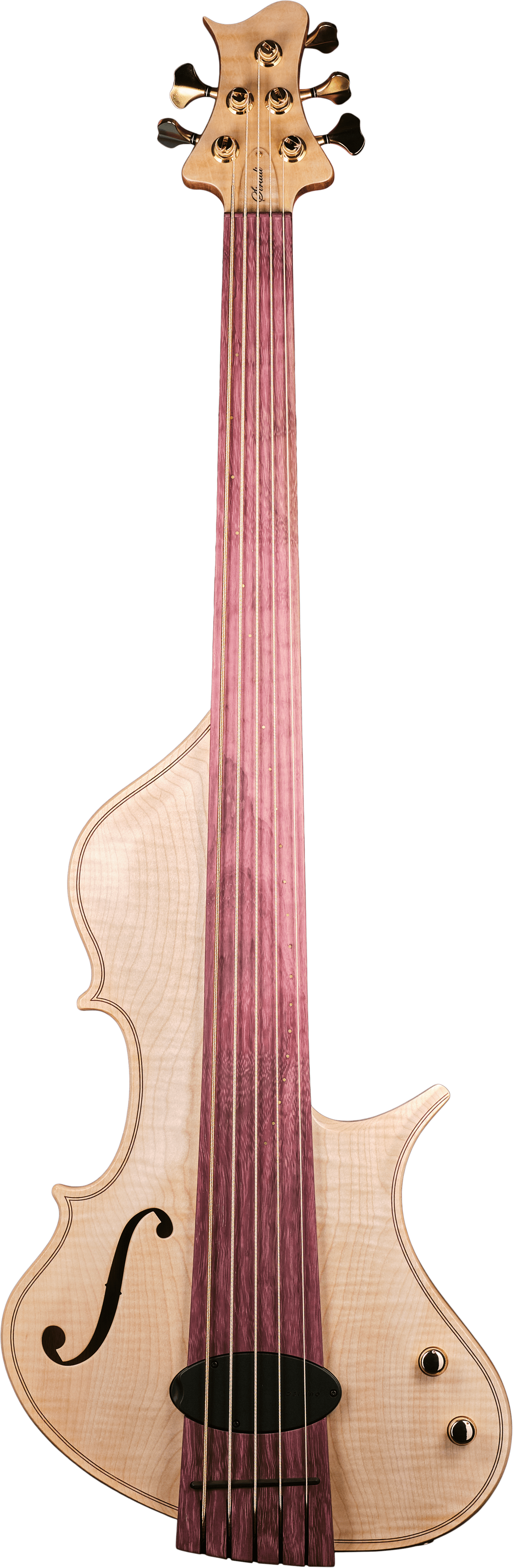 Stradi Symphony 5 | Bass Buddha