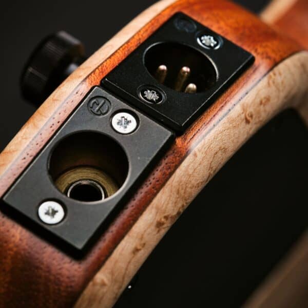 Pre-owned Wal MK II (2023) Birdseye Maple Top | Bass Buddha