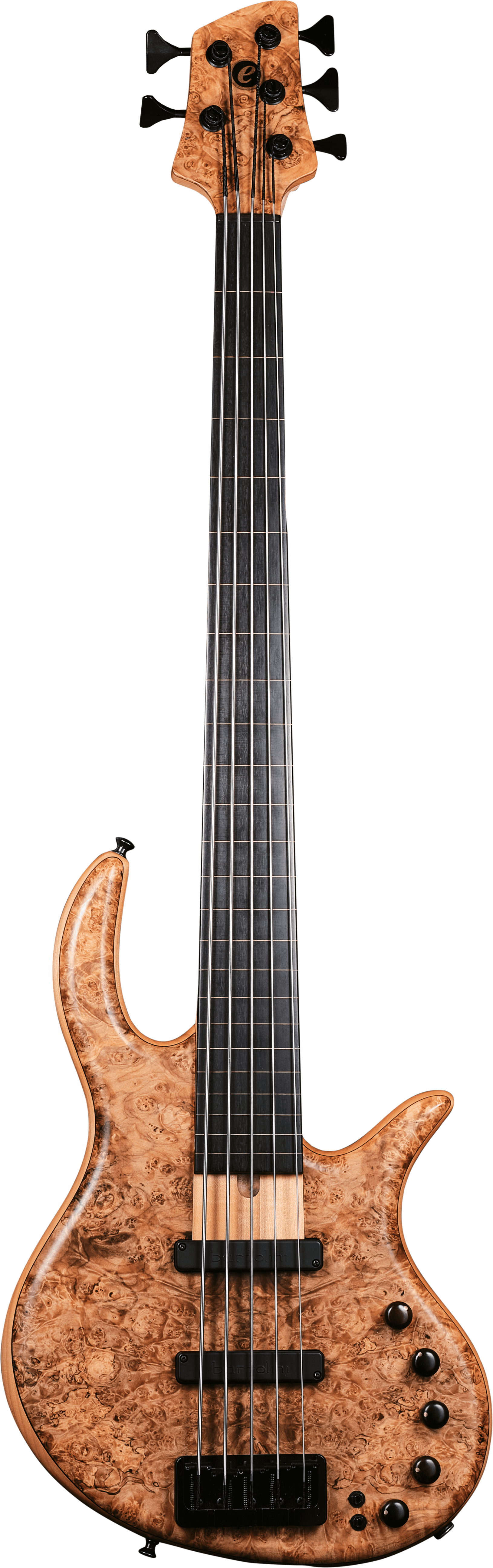 Pre-owned Elrick eVo Gold Series fretless 5 | Bass Buddha