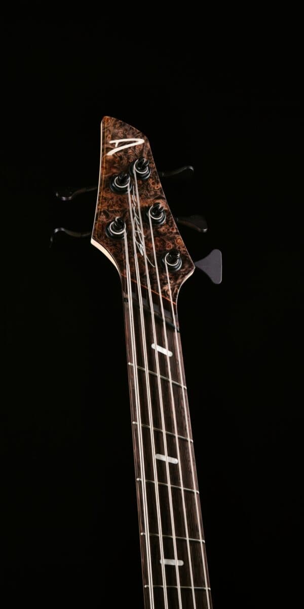 Dingwall Z3 Burled Maple Top | Bass Buddha