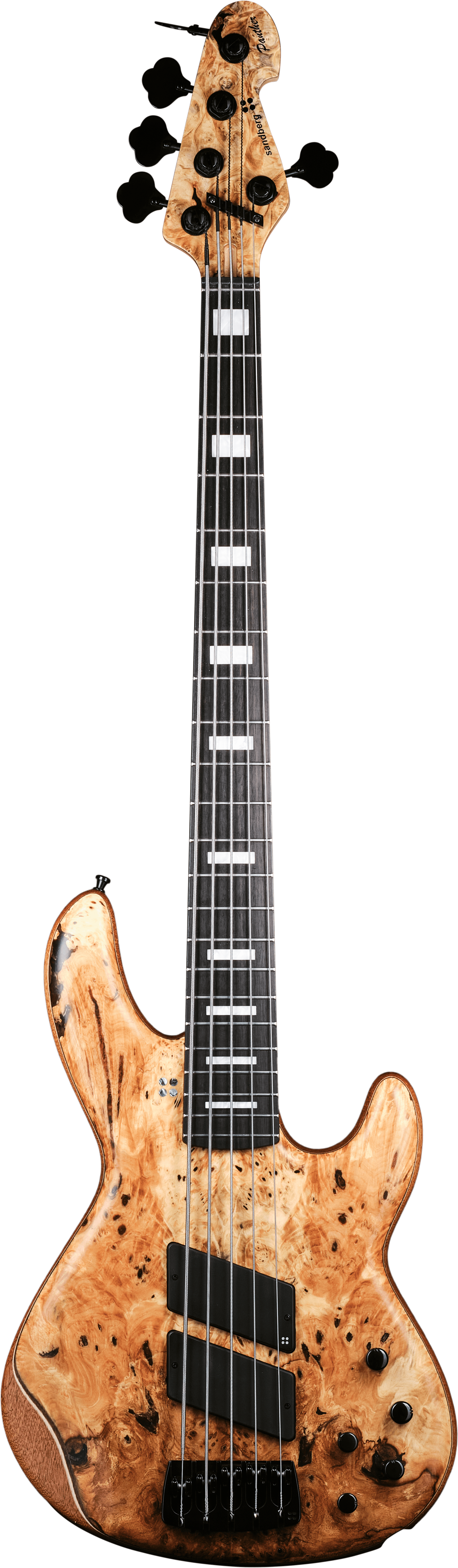 Sandberg Basses | Bass Buddha