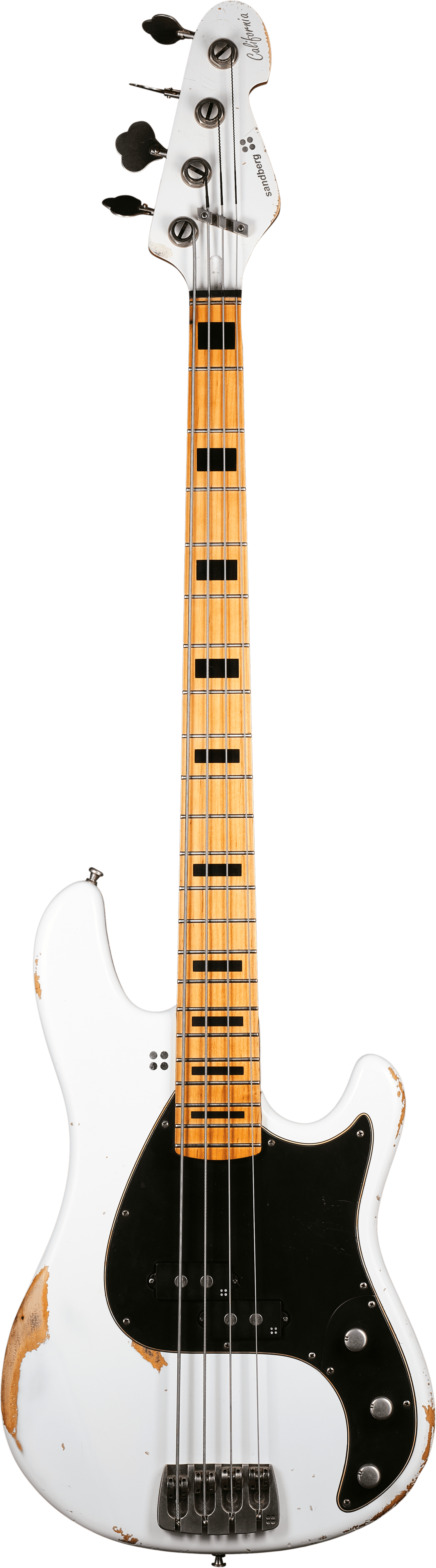Sandberg Basses | Bass Buddha