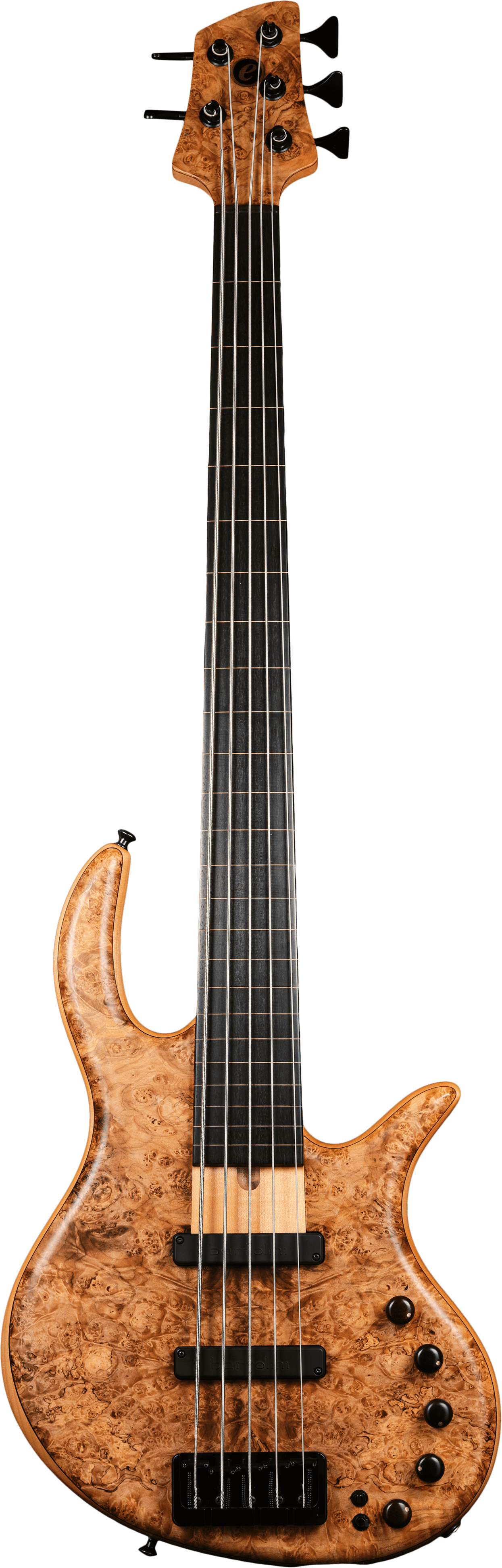 Pre-owned Elrick eVo Gold Series fretless 5 | Bass Buddha